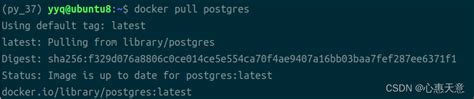 Postgres篇 Docker安装postgres，python连接postgres数据库postgres Docker Csdn博客