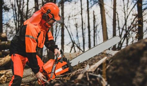 Chainsaw Safety Essential Techniques Beyond Protective Gear Uk Magz