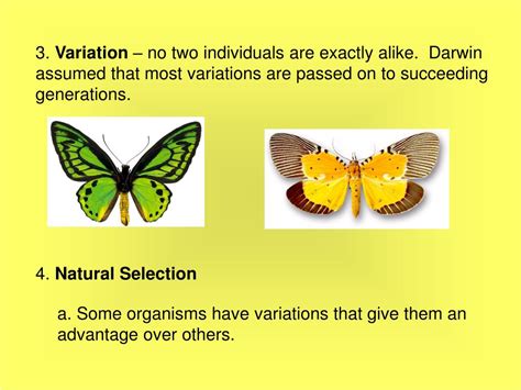 Natural Selection