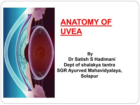 Anatomy Of Uvea Tract Iris Ciliary Body And Choroid PPTX