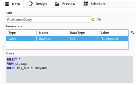 Named Query Data Source Ignition User Manual