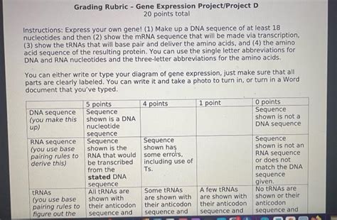 Solved Grading Rubric Gene Expression Projectproject D 20