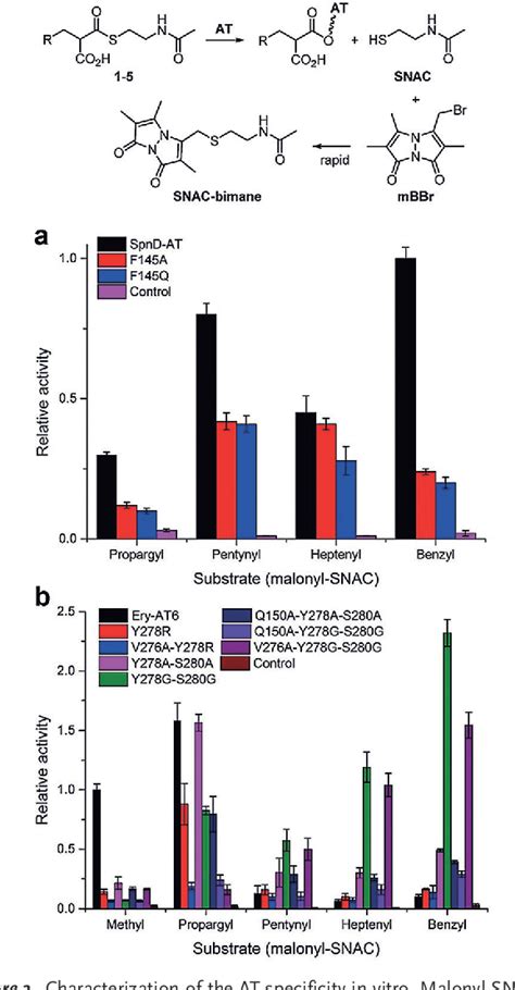 Figure 3 From Structural Basis Of A Broadly Selective Acyltransferase