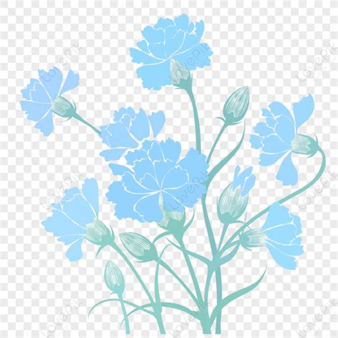 카네이션 꽃 어머니의 날 선물 블루플라워신선한 꽃