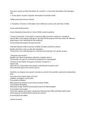 Understanding Gene Expression Transcription Translation And Course Hero