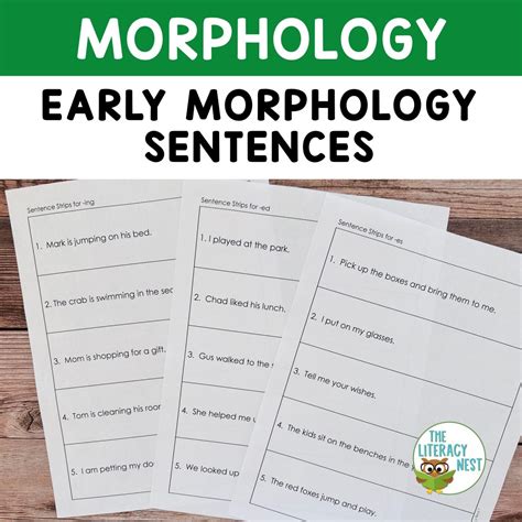 Morphology Sentences With Prefixes Suffixes Roots For Early Readers