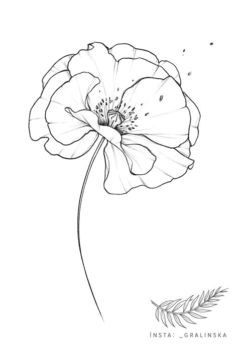40 Ideas De Flores Para Calcar Flores Para Calcar Flores Pintadas