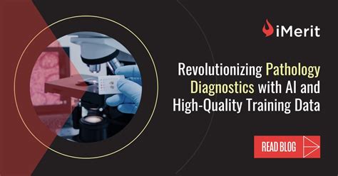 Imerit Technology On Linkedin Revolutionizing Pathology Diagnostics With Ai And High Quality