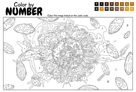 Color By Number Printable Hard