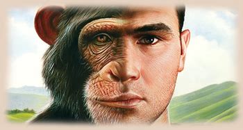 La Tica De Yasm N Actividad Qu Es Un Ser Humano