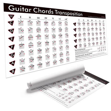 Mua Guitar Chord Transposition Chart Poster Functional Chords