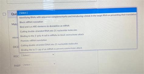 Solved Match The Molecule With Its Function MicroRNA Chegg Com