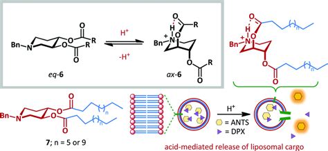 Samoshins Approach To Acid Mediated Ring Flipping And Application To Download Scientific