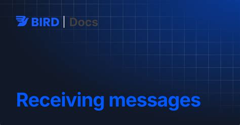 Receiving Messages Bird Api Docs