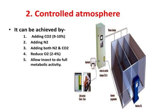Management Of Stored Grain Insect Pest Pptx Beekeeping Hobbies