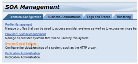 Maximiza la Eficiencia Guía Práctica de SOA Manager en SAP