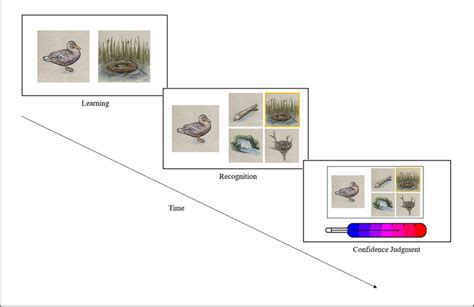 Schematic Illustration Of The Task Procedure Download Scientific Diagram