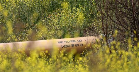 Us Pipeline Firms Wrestle Buybuild Conundrum As Trump Pushes Energy
