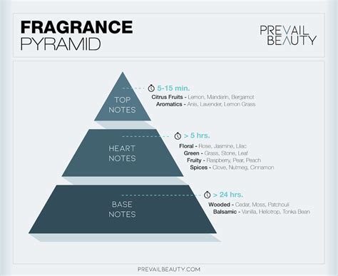 Perfume 101 Beginners Guide To Fragrances