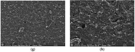 Performance Characteristics Of Silicone Rubber For Use In Acidic Environments