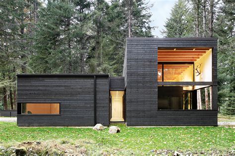 Modern Cedar Siding