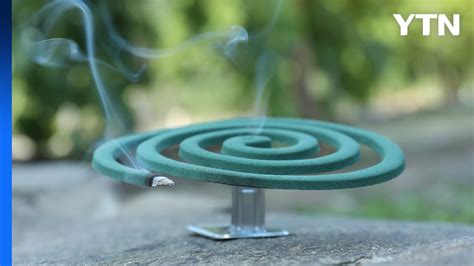 모기향·살충제에 쓰는 알레트린 안전성 재검증 Ytn Youtube