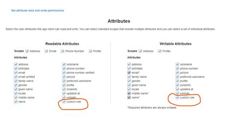Nodejs Aws Cognito Add Custom Attribute Stack Overflow