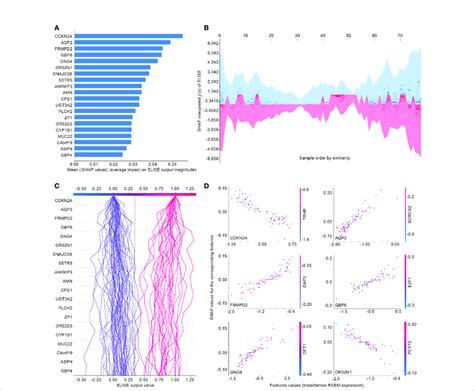 Interpreting Elise In Ucs A Shap Summary Plot Ranked And Presented