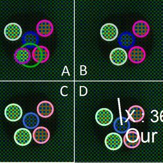 The Large Blobs Formed By Falsely Connecting Green Components Of Two Download Scientific