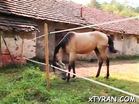 Voluptuous Cutie Gina Killmer Enjoys A Worthy Sex Eporner