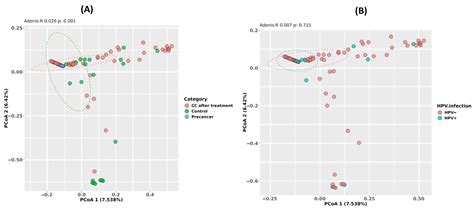 Cervico Vaginal Microbiome Dynamics Across Hpv Driven Lesion Stages In