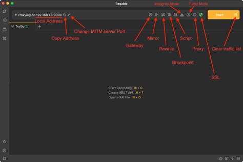 Quick Bar Reqable · Api Debugging Proxy And Rest Client
