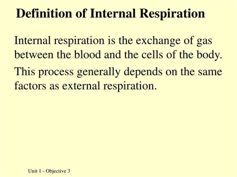 Ppt Human Anatomy And Physiology Ii Powerpoint Presentation Free