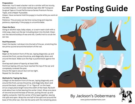 Cropping And Posting Jacksons Dobermans