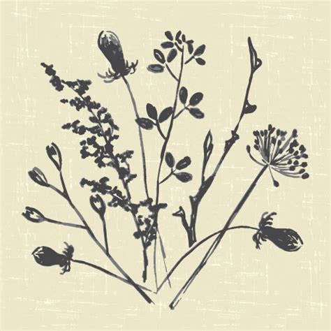 Grass Texture Vector Images And Graphics For Commercial Use Vectorstock