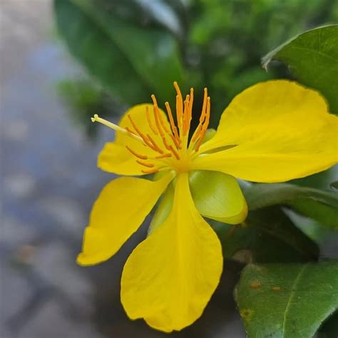 Phoebe Ho Phoebeho159 • Threads Say More