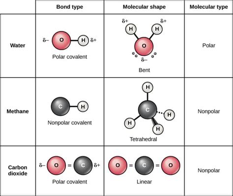 Basic Concepts Of Polymer Structure And Bonding Intro To Polymer