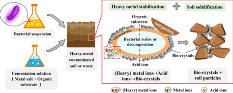 Bacterial Induced Mineralization Bim For Soil Solidification And