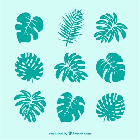 Hojas Vectors Download Free High Quality Vectors From Freepik Freepik