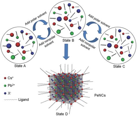 Schematic Illustration Of The Relationship Between Solvent Polarity And Download Scientific
