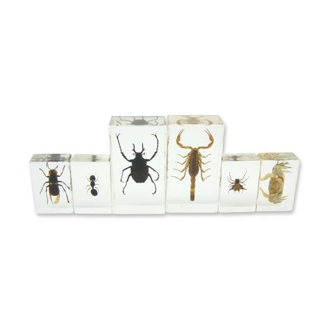 Insect And Arthropod Vwr Part Of Avantor