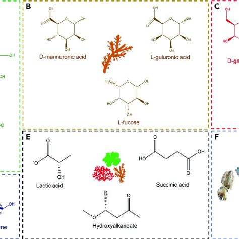 Chemical And Physical Structures Of Marine Derived Monomers And