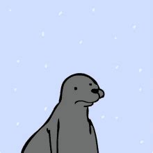 Gay Seal Meme S Tenor