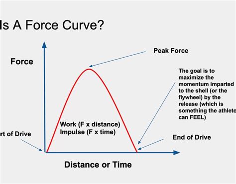 Learning To Use The Legs First During The Rowing Drive Phase Coach Bergenroth Online Rowing