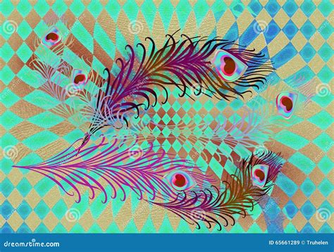Peacock Feather Stock Image Image Of Fluffy Drawing 65661289