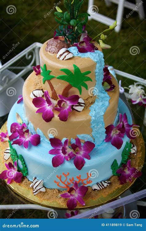 Pastel De Bodas Tropical De La Playa De La Diversión Imagen De Archivo