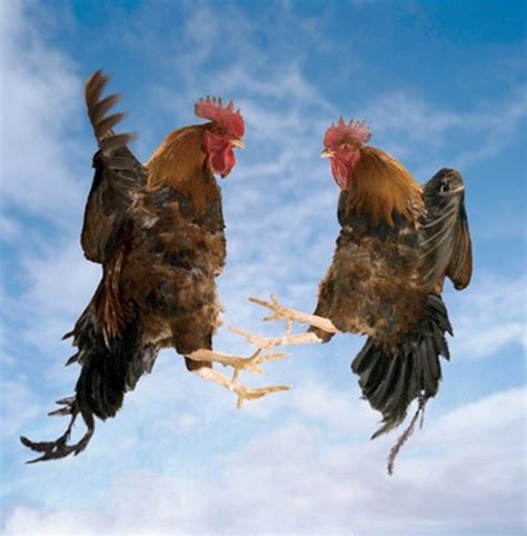 Product Vs Project Management Перестаньте путать эти понятия By