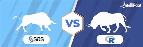 SAS Versus R Intellipaat Blog