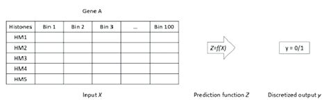 Gene Expression Prediction Based On Histone Modification Data