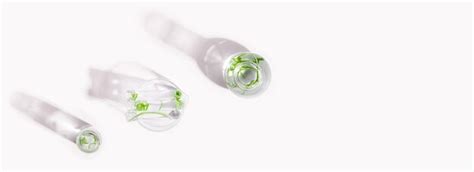 Premium Photo Research Of Herbs Plants Greenery Organic Cosmetics